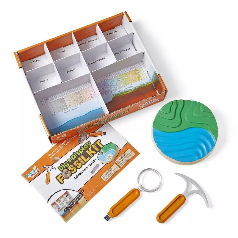 Dig & Display Fossil Kit | Shop Kids Toy Online | Little Thinker ...