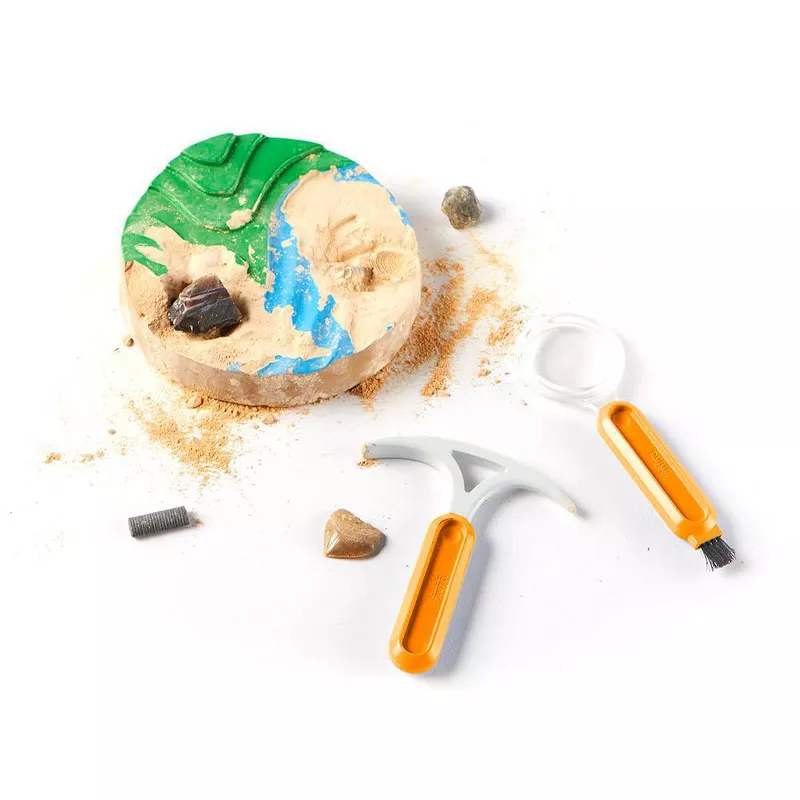 Dig & Display Fossil Kit | Shop Kids Toy Online | Little Thinker ...