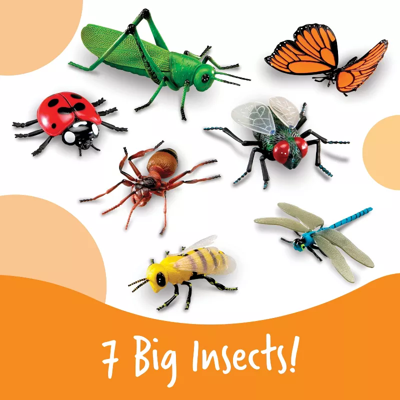 Jumbo Insects | Shop Kids Toy Online | Little Thinker Educational Aids
